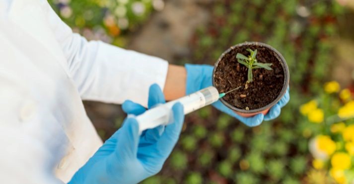 How CRISPR Can Shape the Future Food Supply - Food & Hospitality Asia