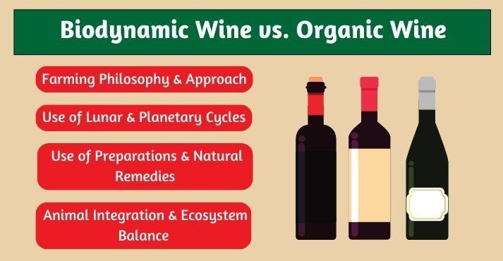 Biodynamic Wine: The Natural Approach to Winemaking