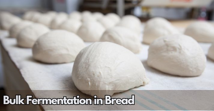Bulk Fermentation in Bread Making and Why Time Matters